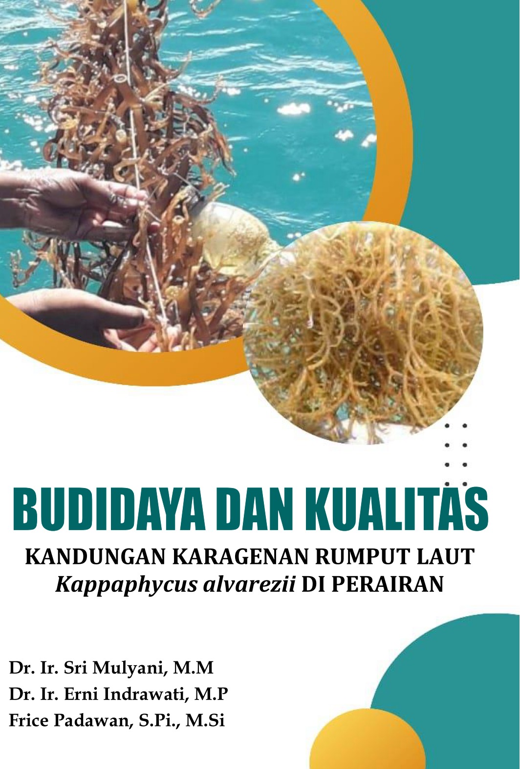 BUKU BUDIDAYA DAN KUALITAS KANDUNGAN KARAGENAN RUMPUT LAUT KAPPAPHYCUS ...